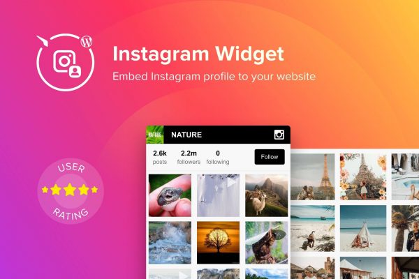 Download Elfsight Instagram Widget 2.2.2 - GetMyThemes